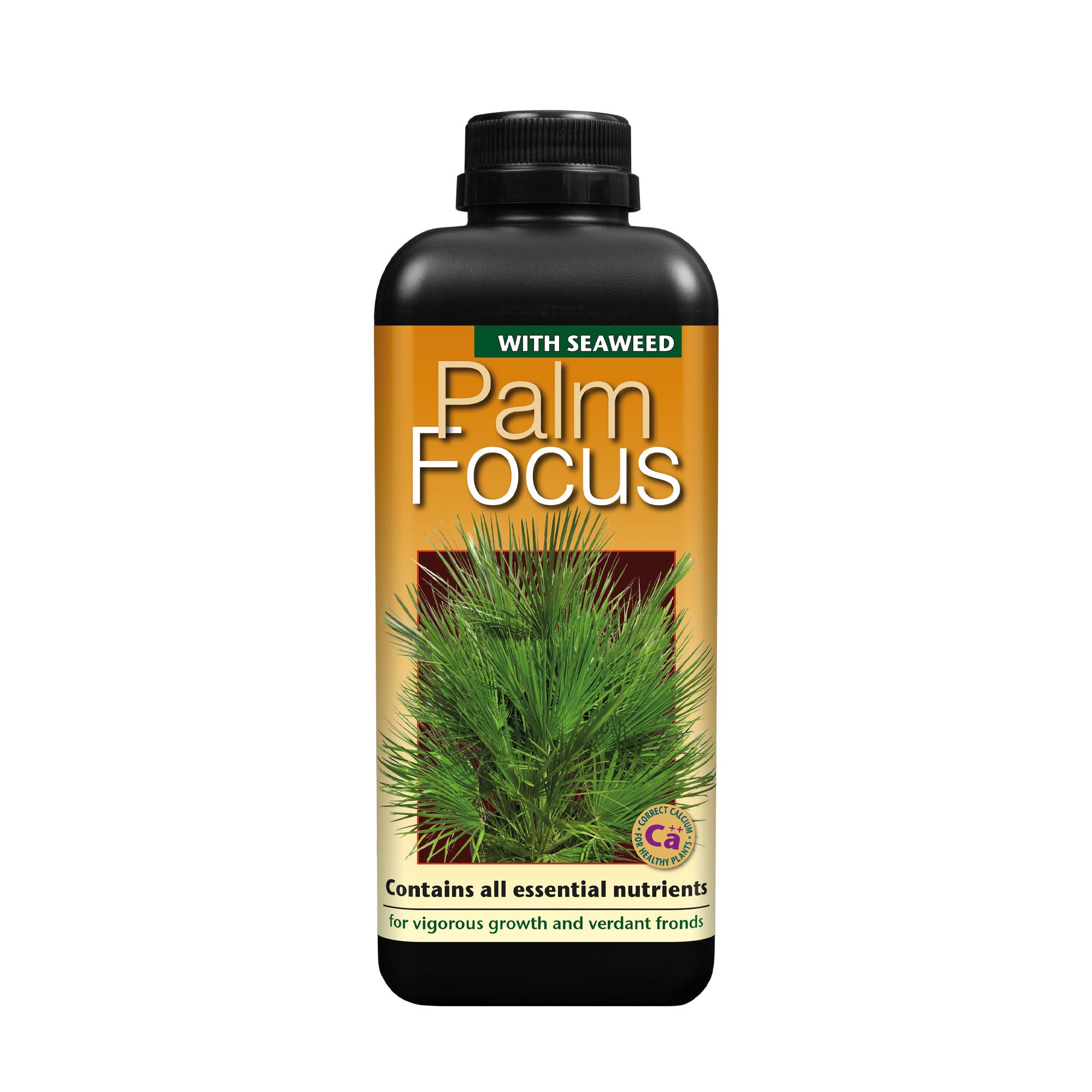 GT Palm Focus 1L – The Growers Shop